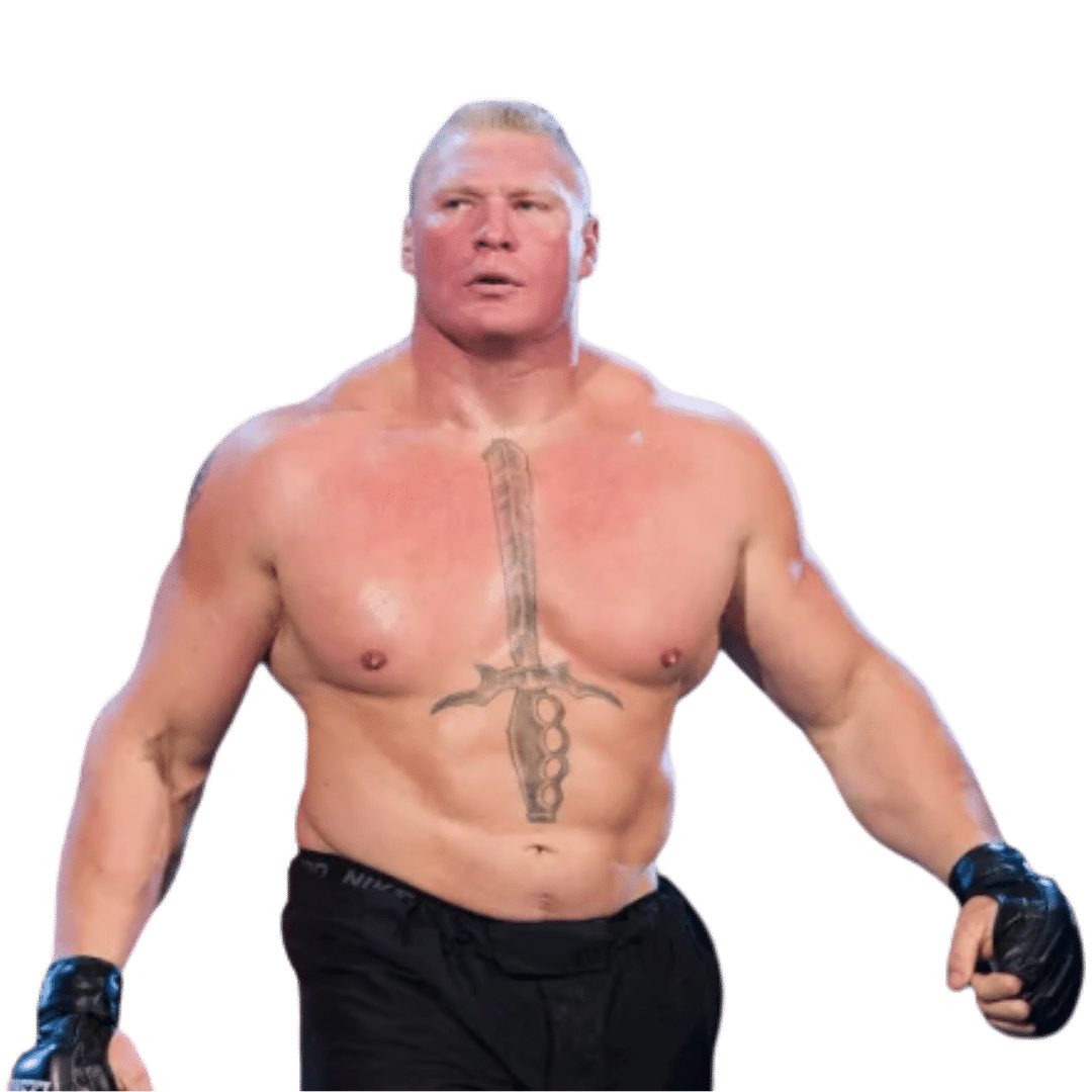 Category: Fighting (UFC + WWE) - Searing Shot TCG